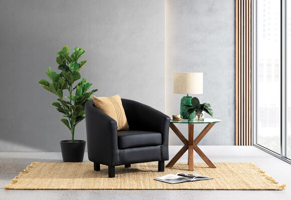 Accent Chairs, Arm Chairs + Occasional Chairs - Shop At Amart