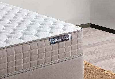 Super King Mattresses + Bases - Plush + Firm - Amart