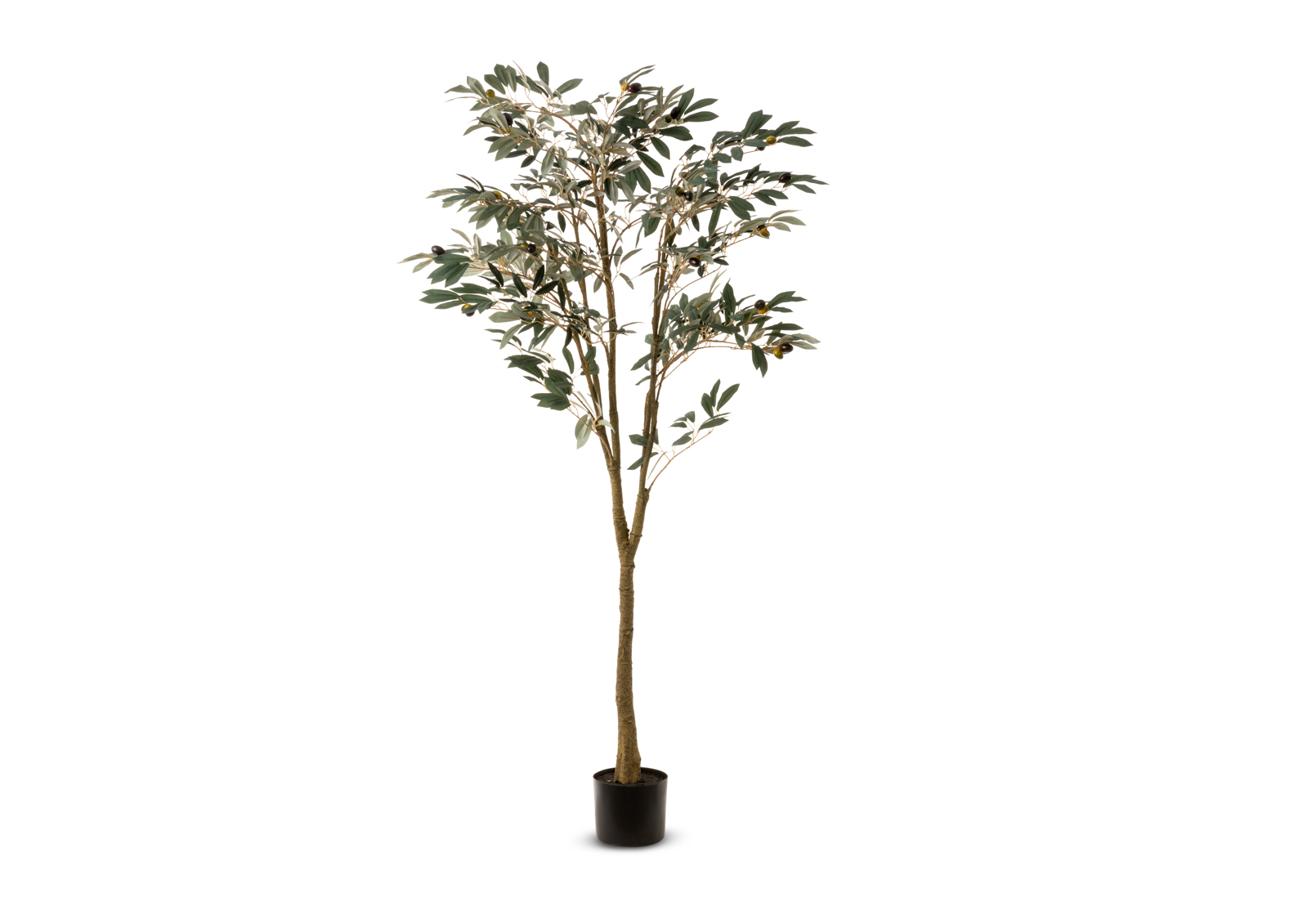 GREEN OLIVE TREE 120CM Tree